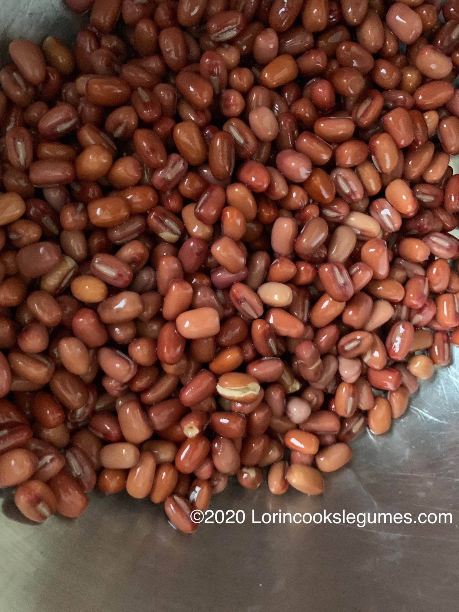 Hong Dou Tang – Lorin cooks Legumes