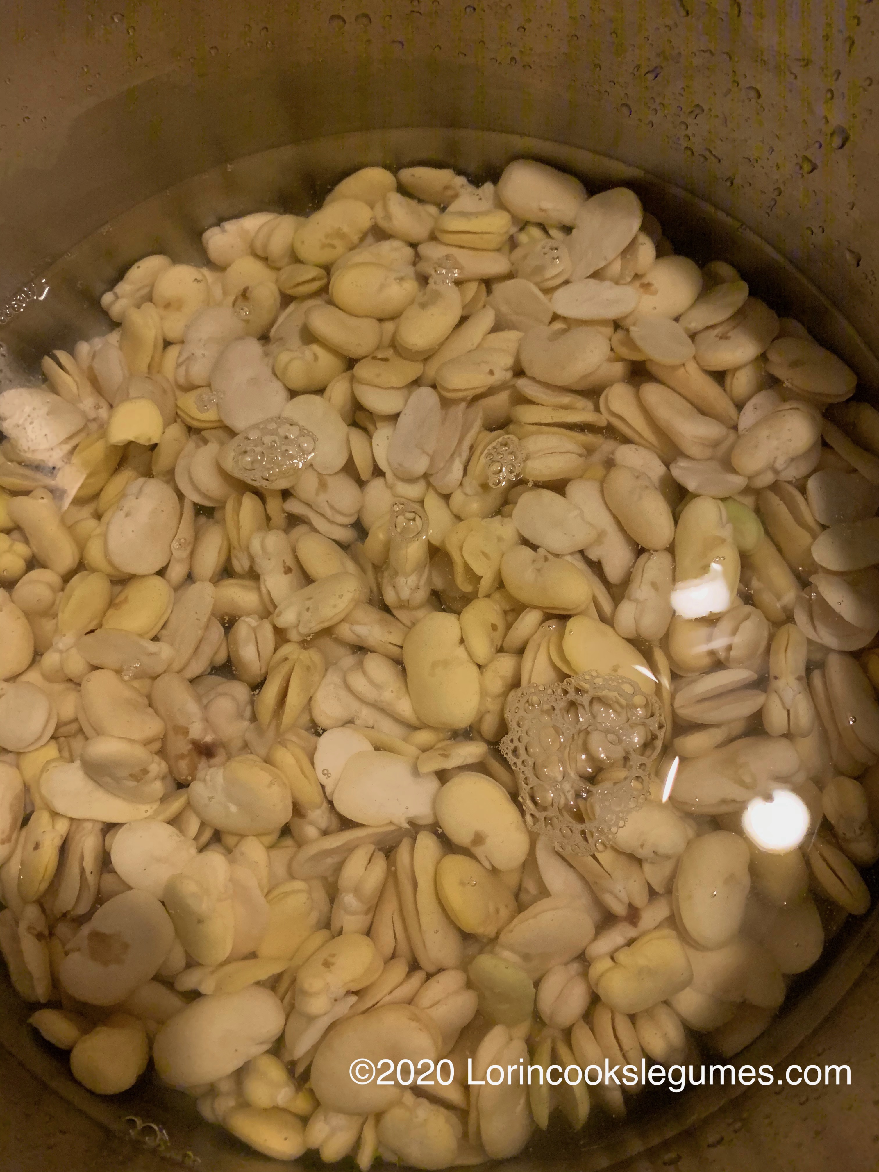 Egyptian Bissara – Lorin cooks Legumes