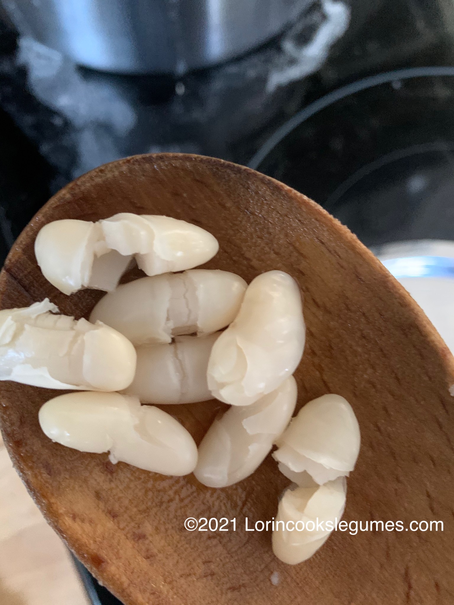Maine Bean Hole – Lorin cooks Legumes