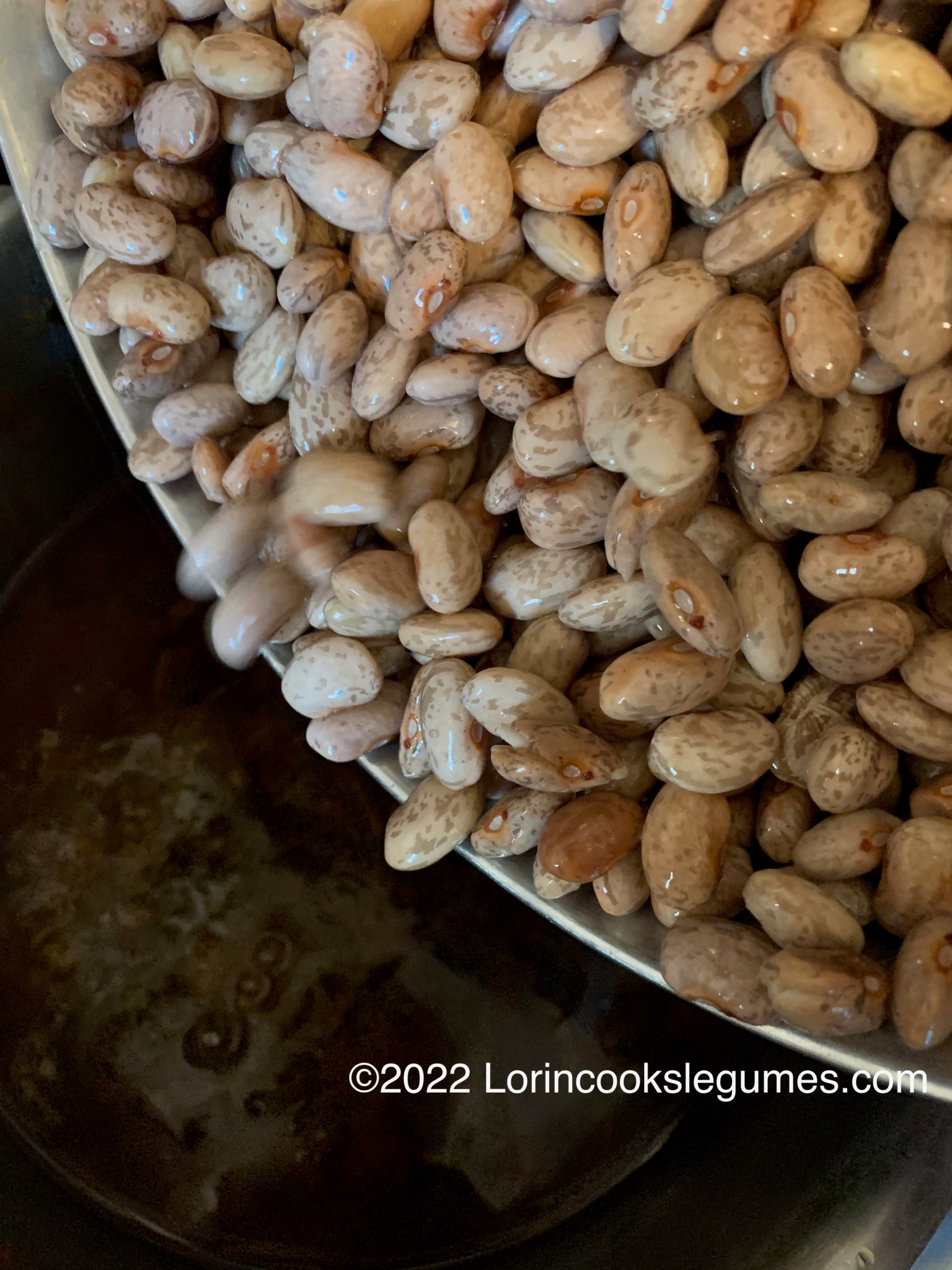 Feijoada Baiana – Lorin cooks Legumes