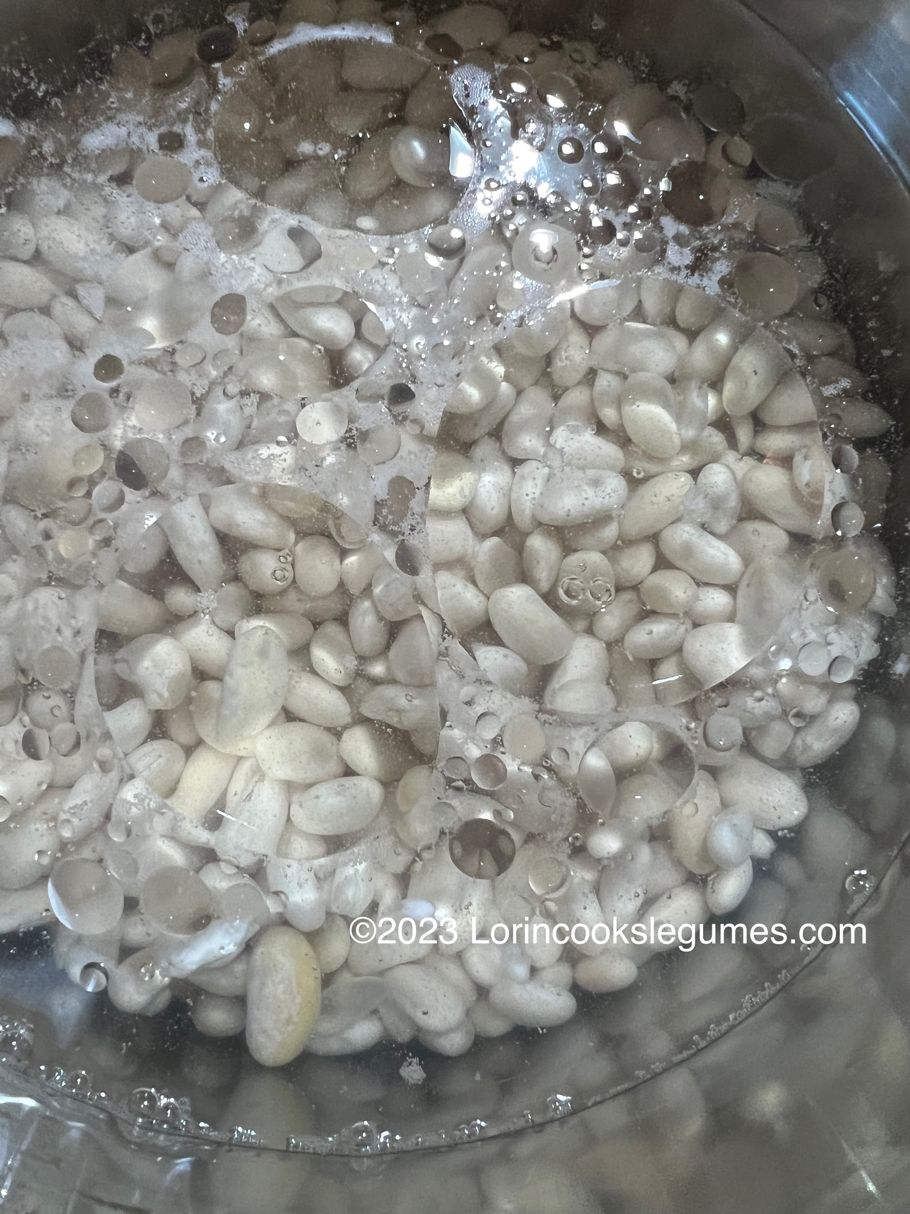 Sudanese Fasoulia – Lorin cooks Legumes