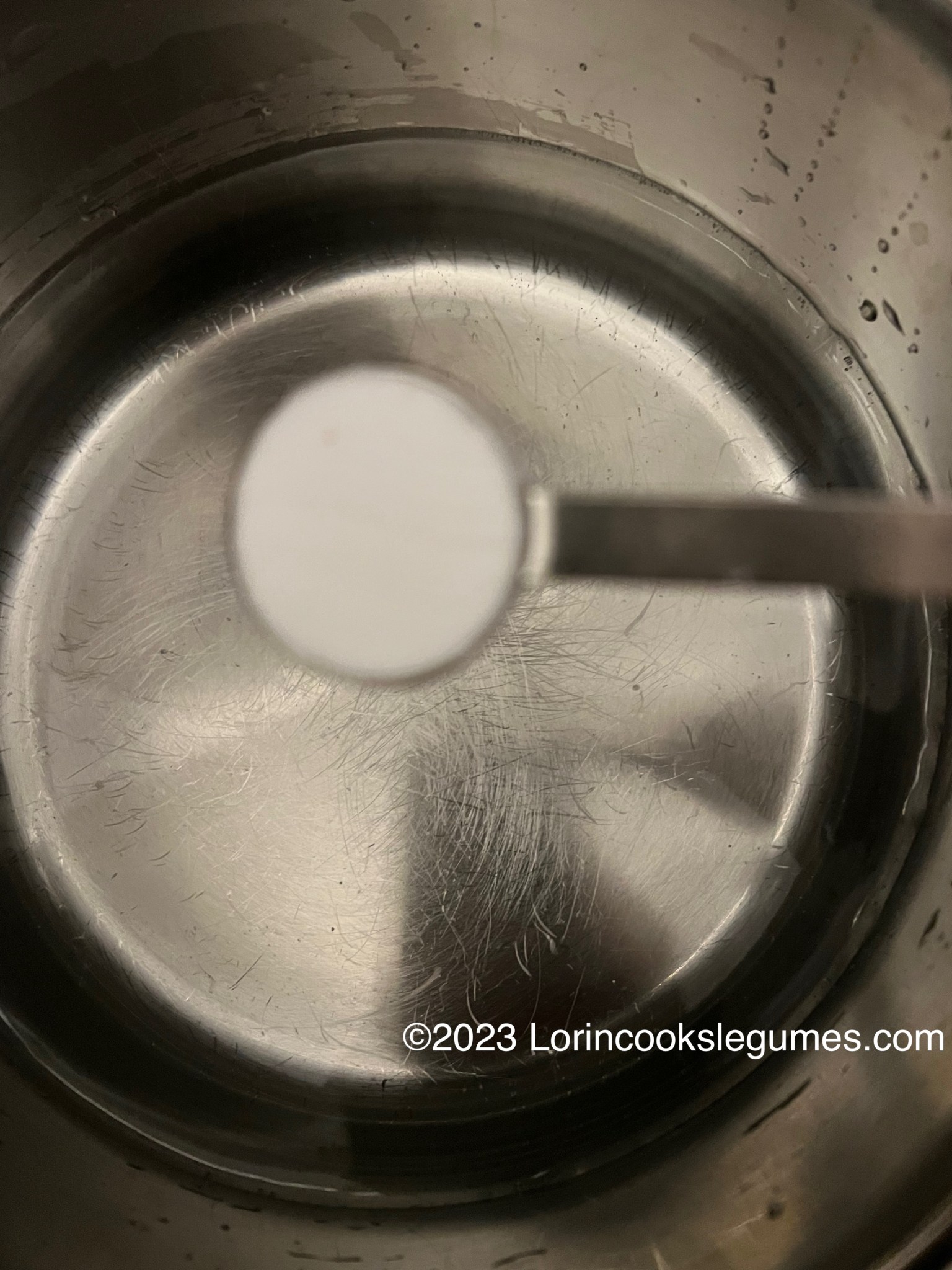 Copycat Grandma Brown’s Baked Beans – Lorin cooks Legumes