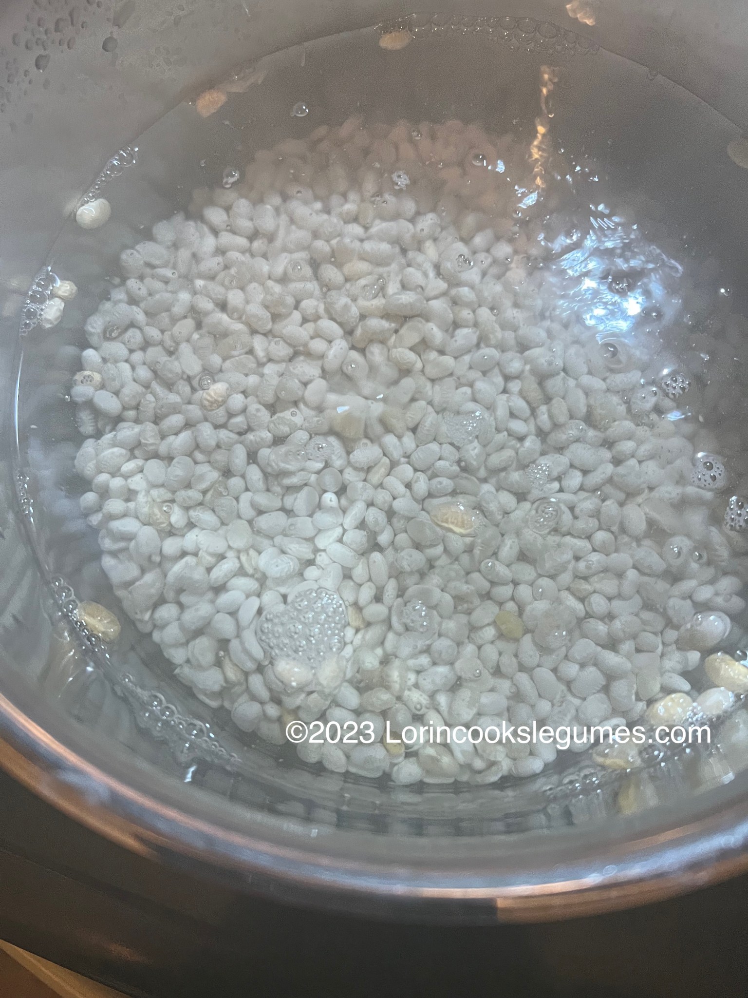 Copycat Grandma Brown’s Baked Beans – Lorin cooks Legumes