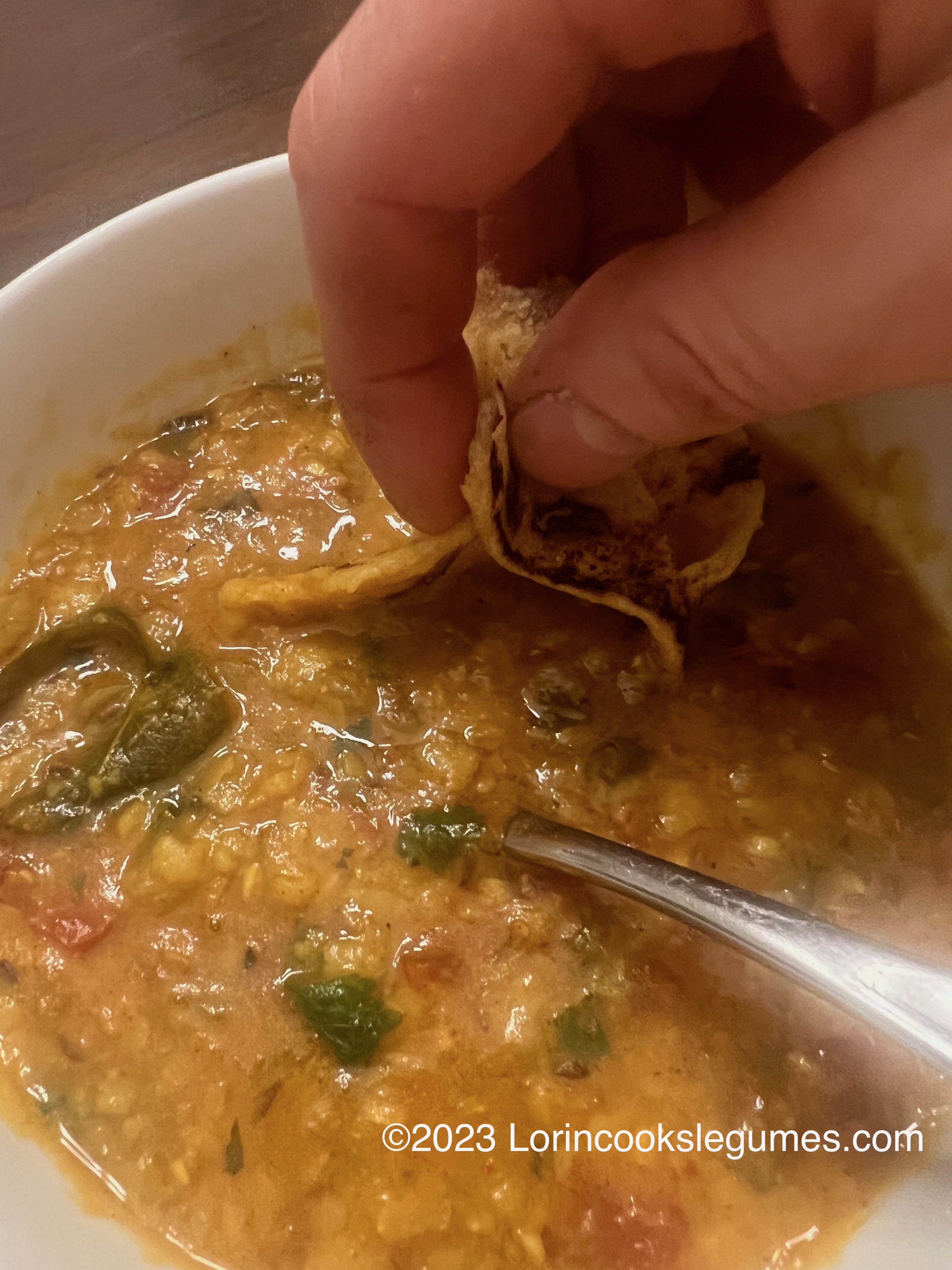 Roti/Chapati – Lorin cooks Legumes