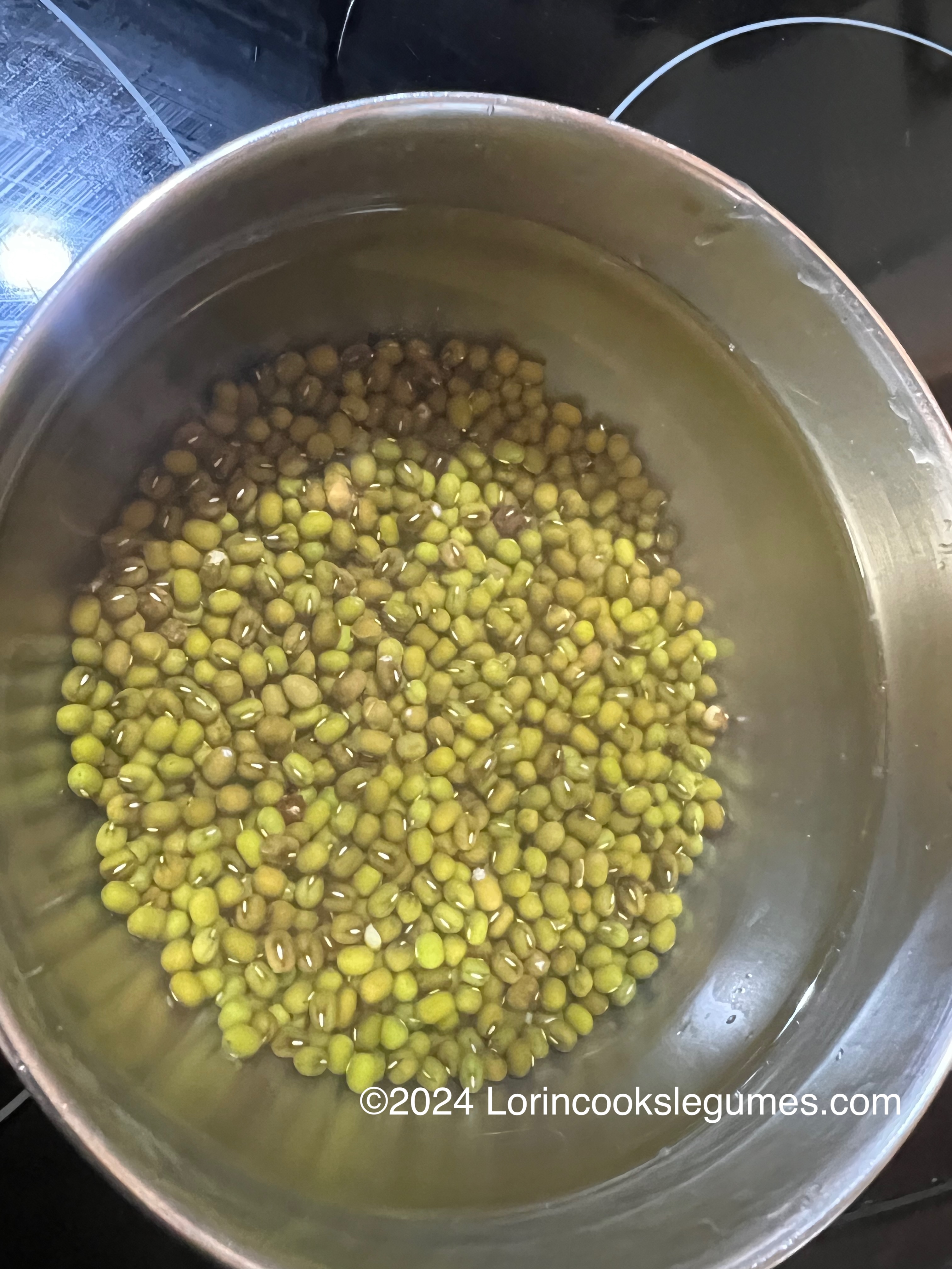 Roasted Mung Beans – Lorin cooks Legumes